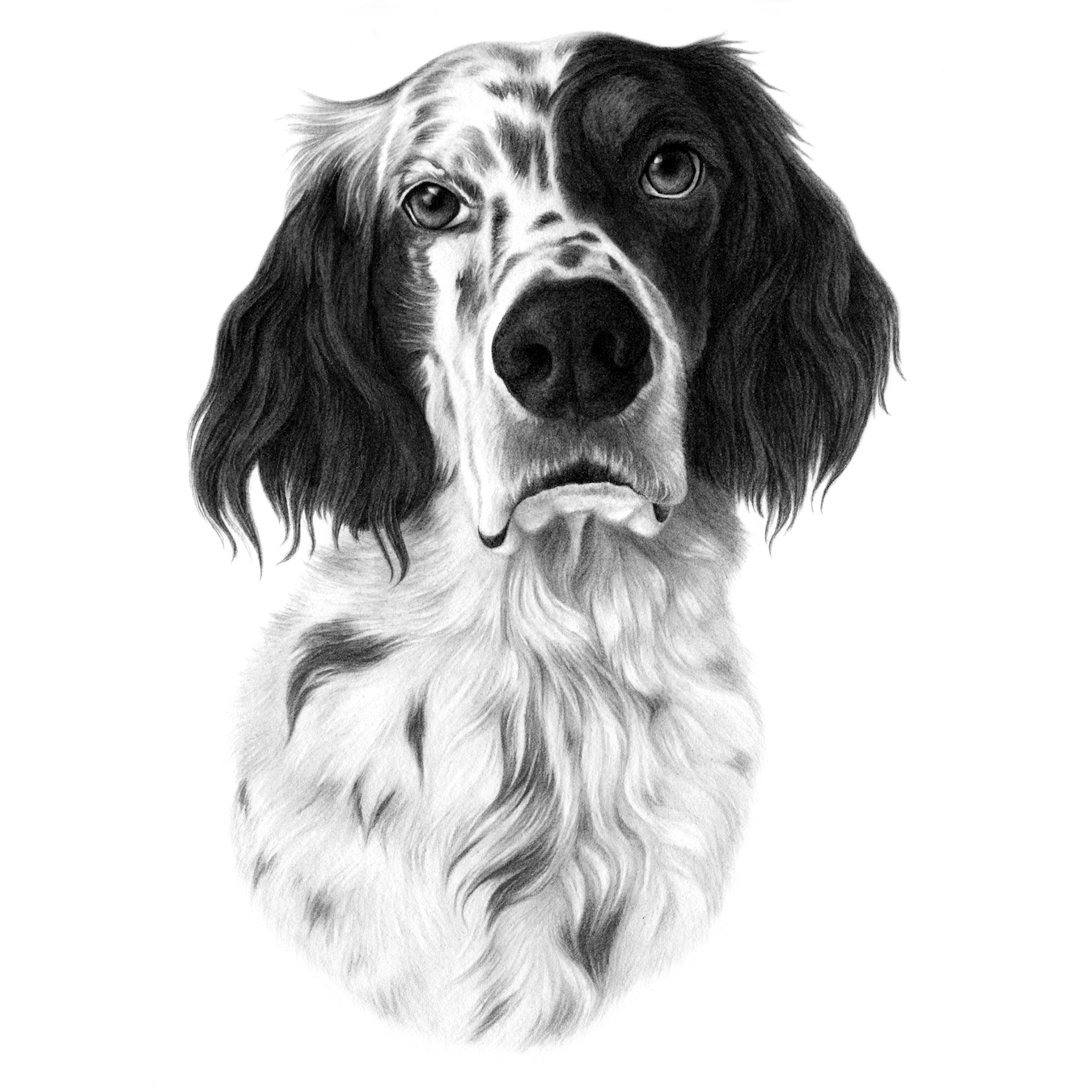'Gunner' – Amanda Ballengee