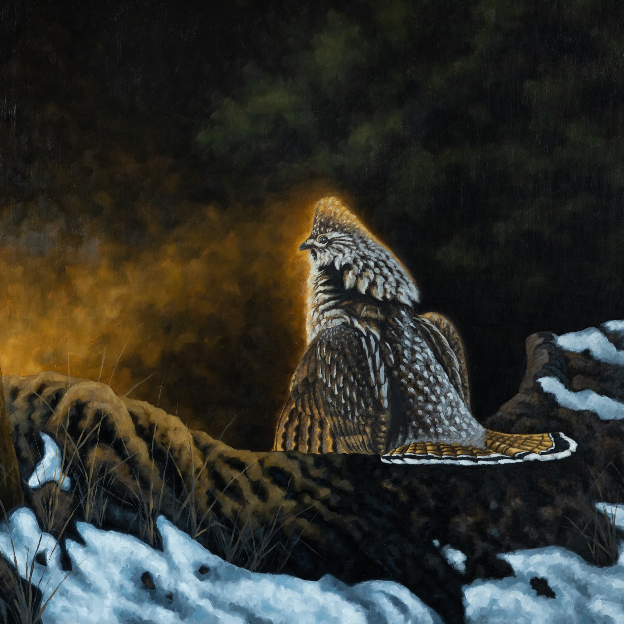 'Mountain Drummer' – Amanda Ballengee