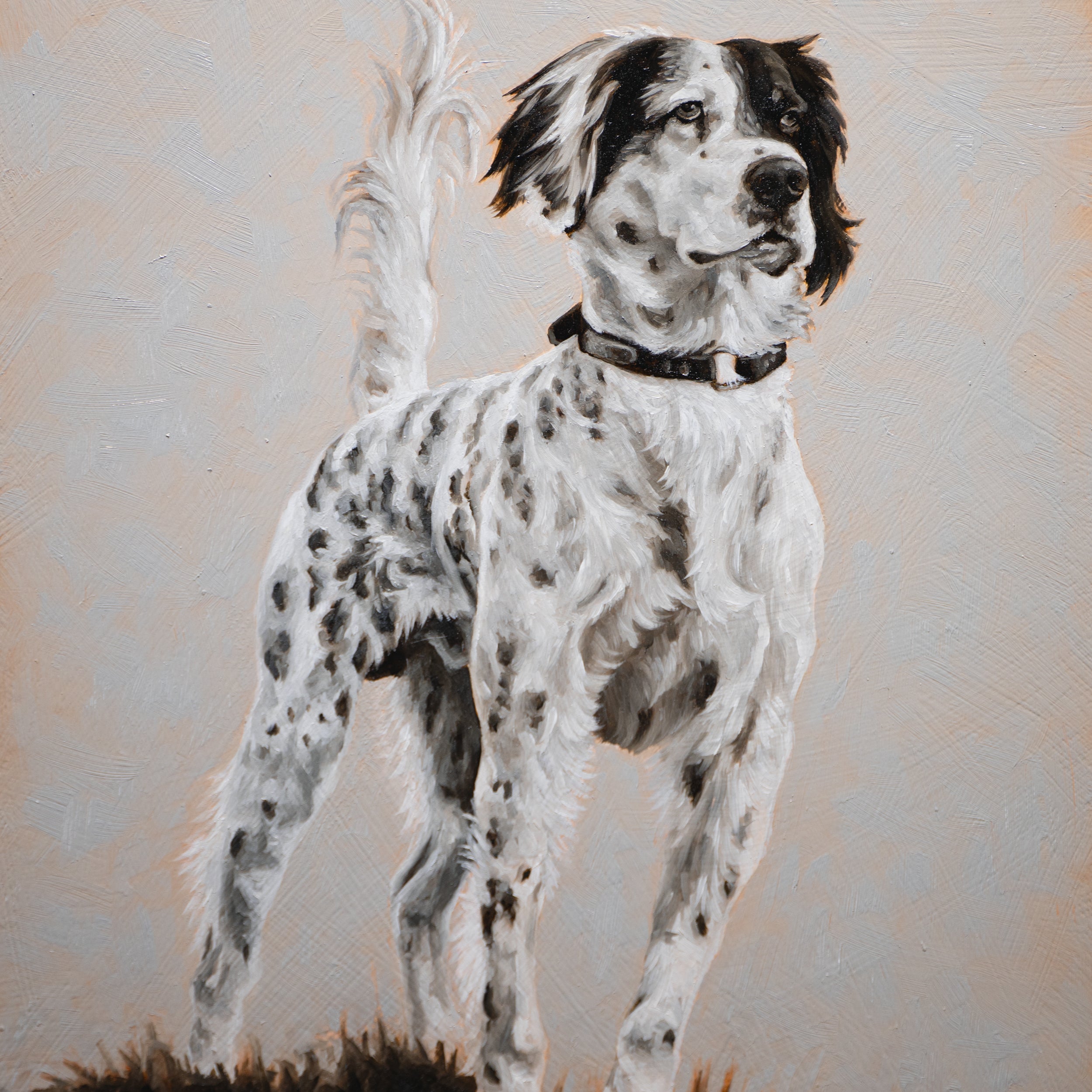 'Pointing Setter' – Amanda Ballengee