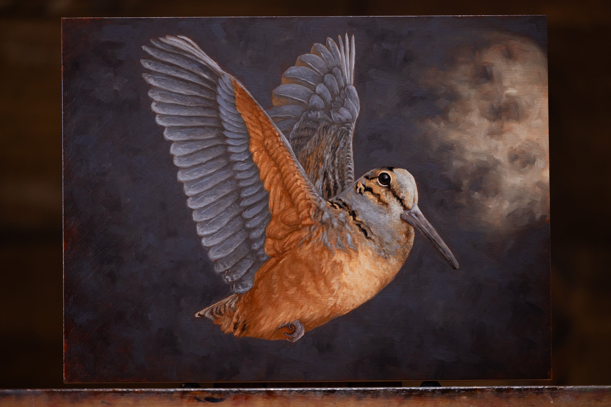 Originals – Amanda Ballengee